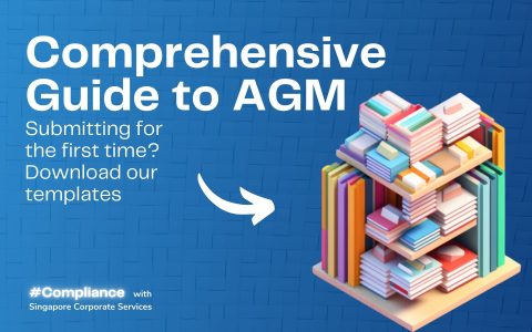 A Comprehensive Guide to AGM - SCS